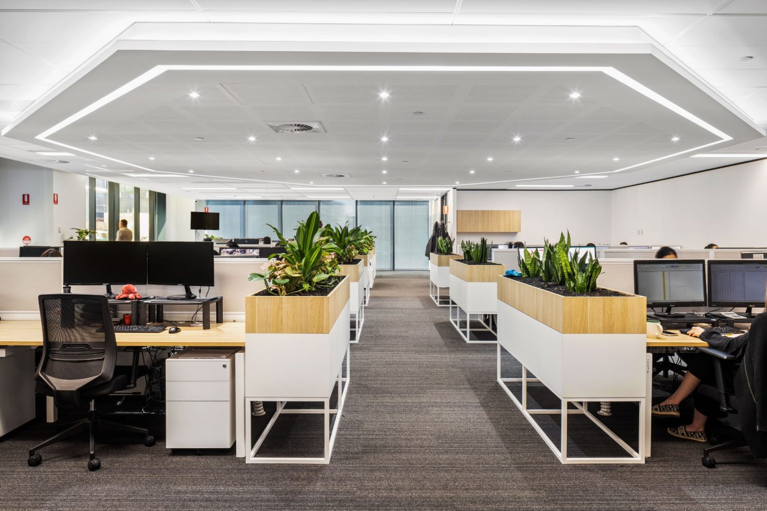 Office Interior Design and Fitouts | Contour Commercial Interiors